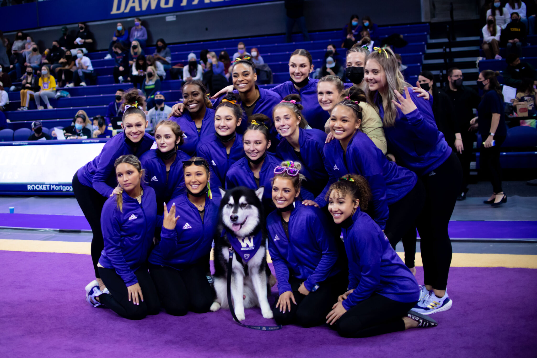 PHOTO ESSAY: No. 11 California at No. 38 Washington - College Gym News